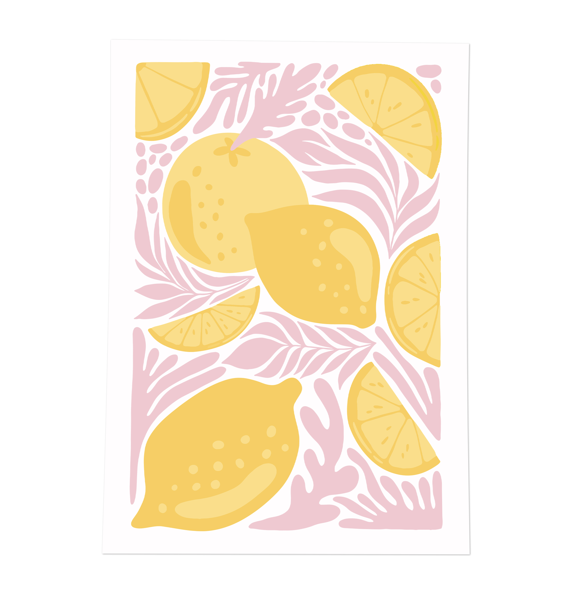 Squeeze the Day A4 Paint by Number Kit – Måla Paint by Numbers Australia